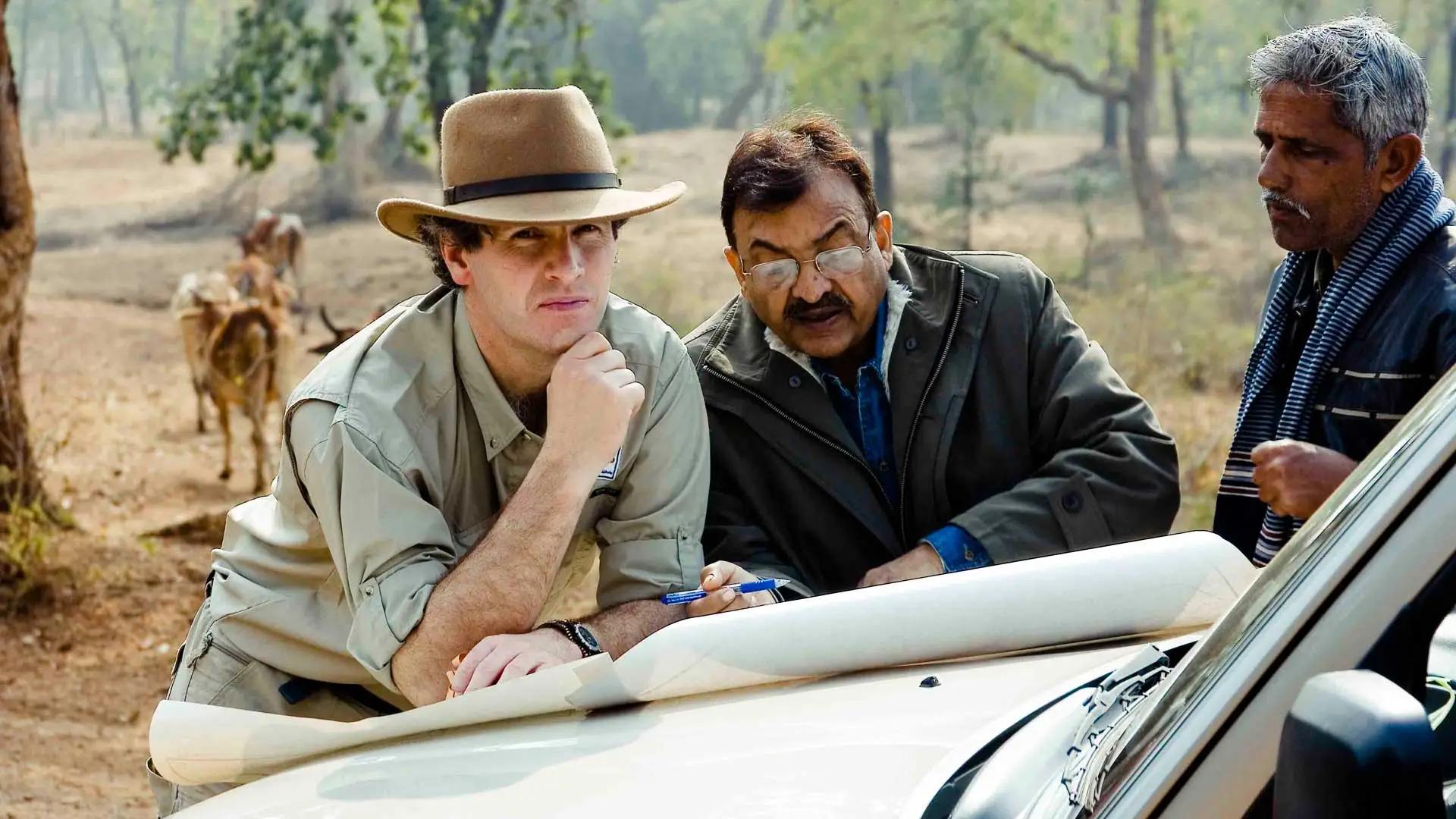 Julian Matthews - Natural World Safaris