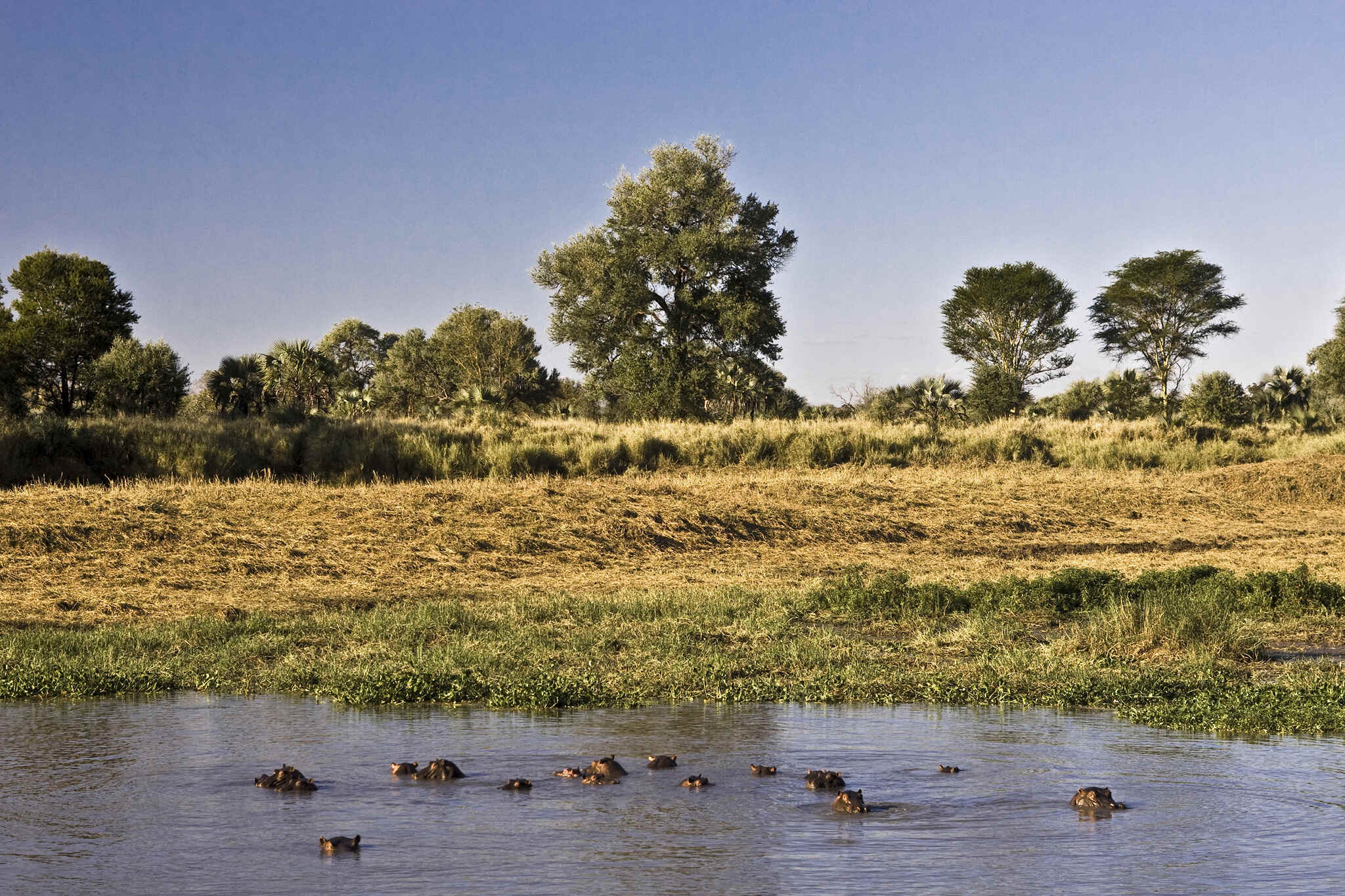 Gorongosa National Park - Natural World Safaris