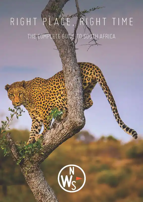 The Complete Guide to South Africa